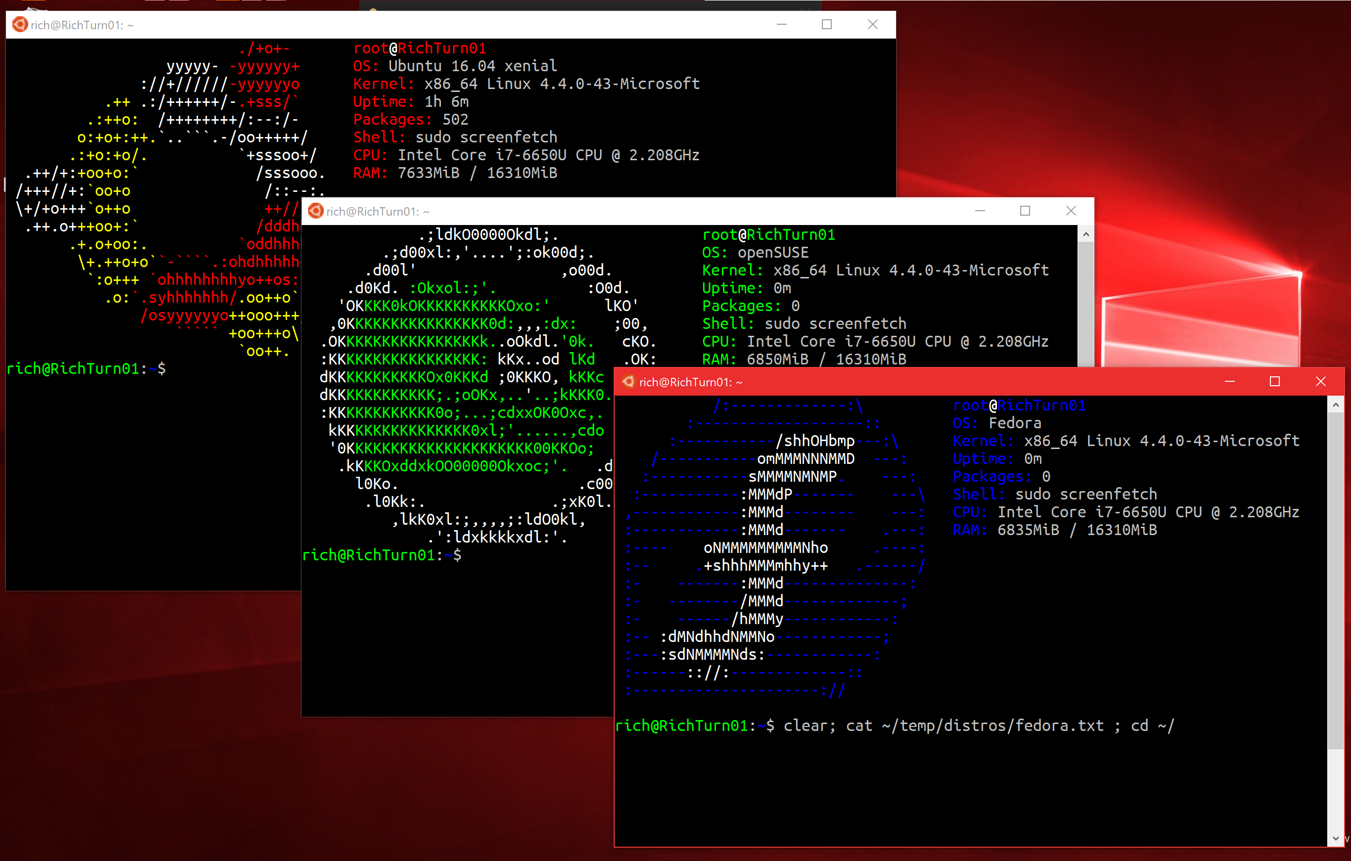 Comando Rm Eliminare File Guida Al Terminale Di Linux